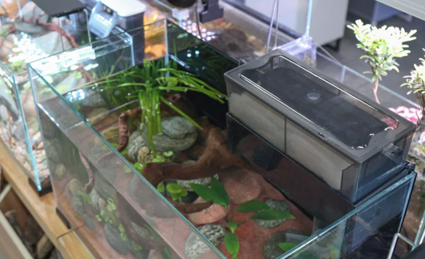 Acrylic Fish Tank External Liquid Aquarium Top Filter