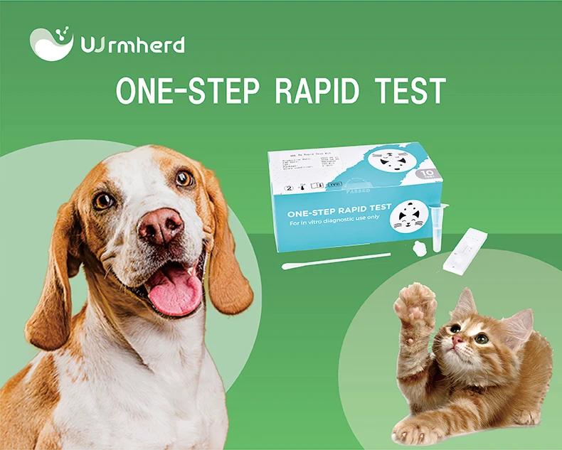 Veterinary Test Kit For Pet Detection Of Feline Giardia Ag Fpv Ag Fipv ...