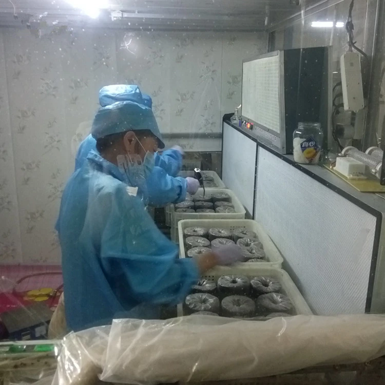 Commercial Mushroom Cultivation Inoculation Machines Mushroom ...