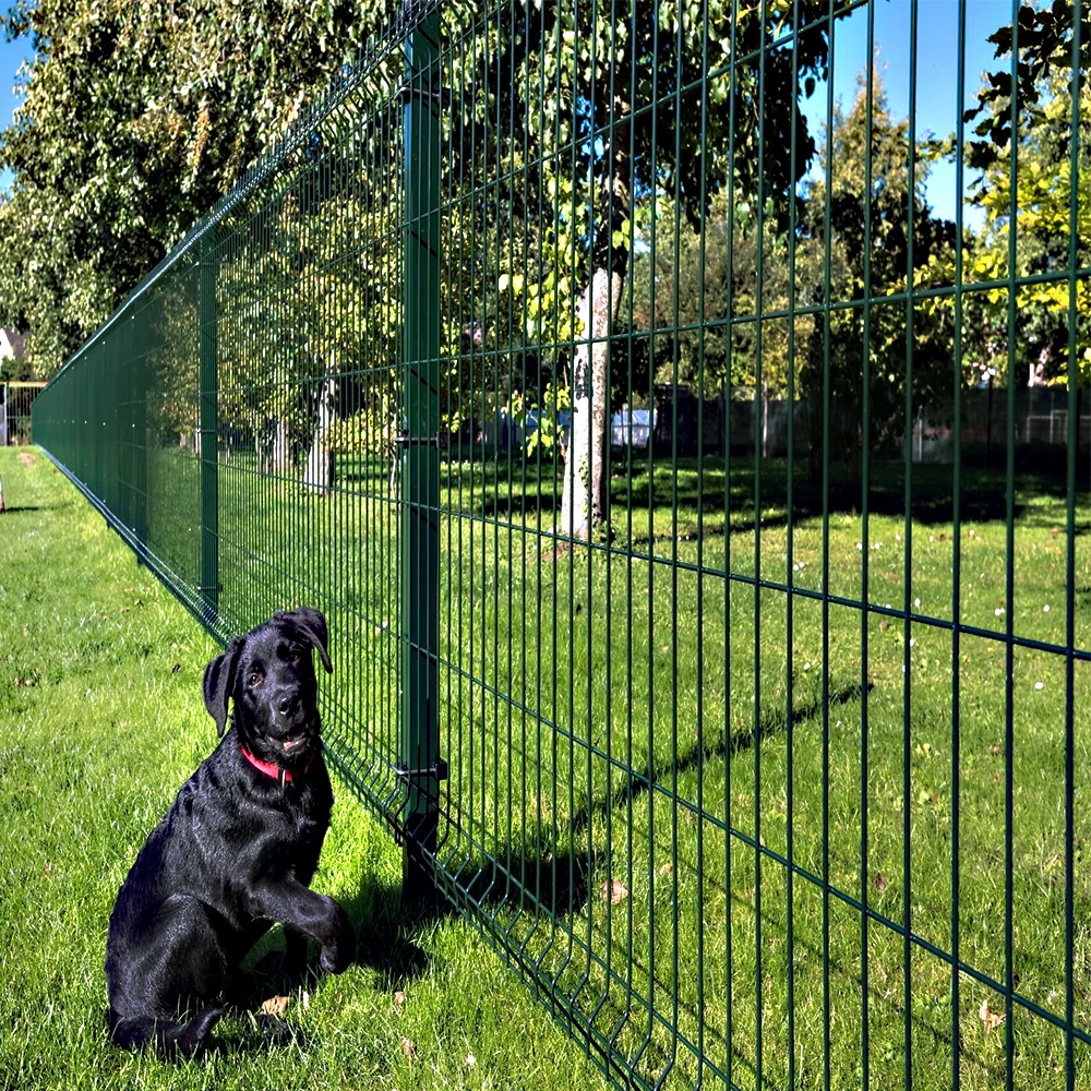 High Quality 3D Wire Mesh Fence - Durable & Versatile