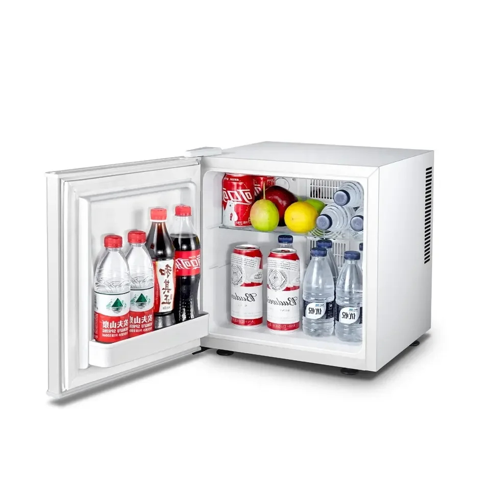Single Door Mini Fridge - Portable Thermoelectric Cooler