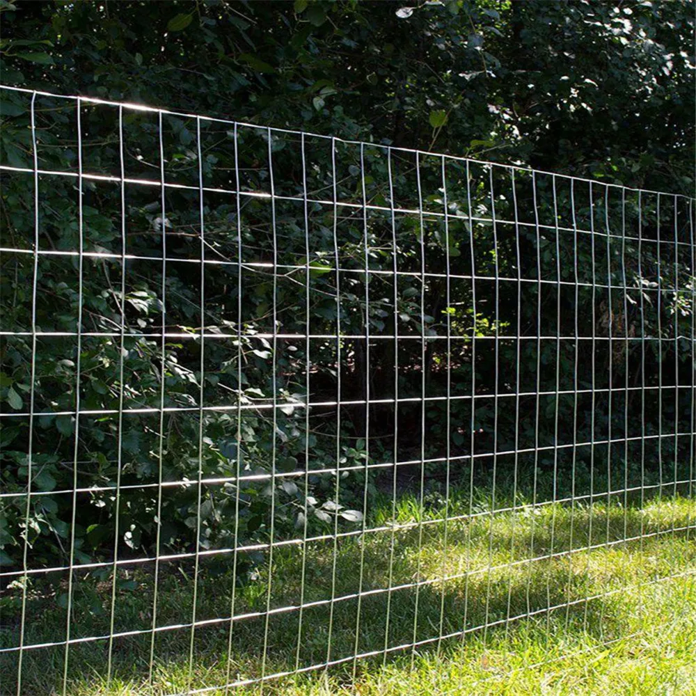 Galvanized Welded Wire Mesh Fencing 3 ft by 100 Feet in 1 Inch X 2 Inch ...