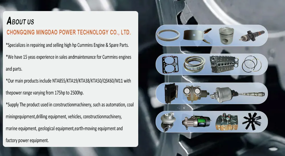 Cummins Engine Parts Original Kta38 Oil Seal 3642365 3630681 - Buy ...