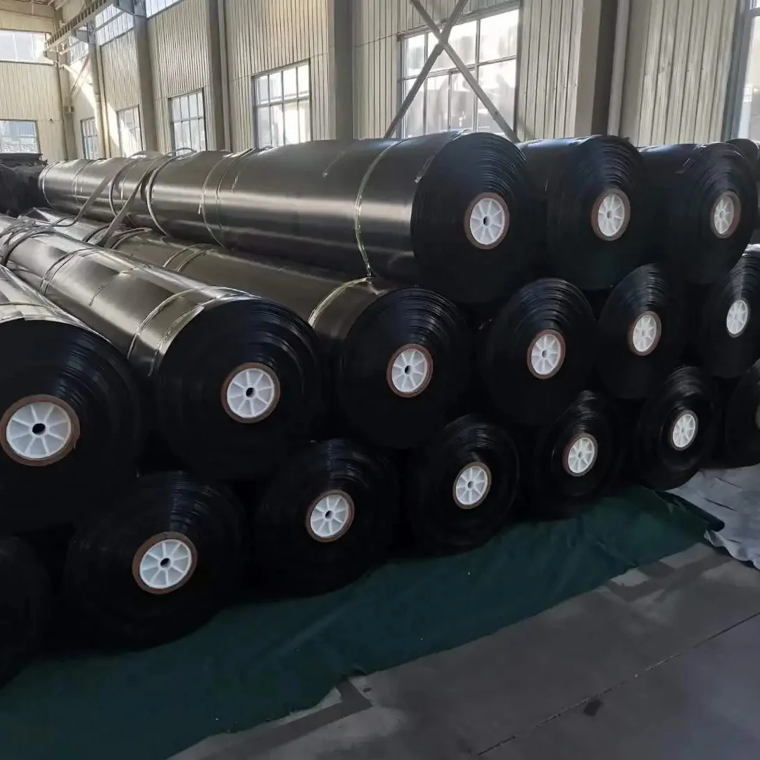 Chemical Plant Reservoir Lining 2mm Reservoir Liner 2.5mm Waste Landfill Geomembranes - Buy ...