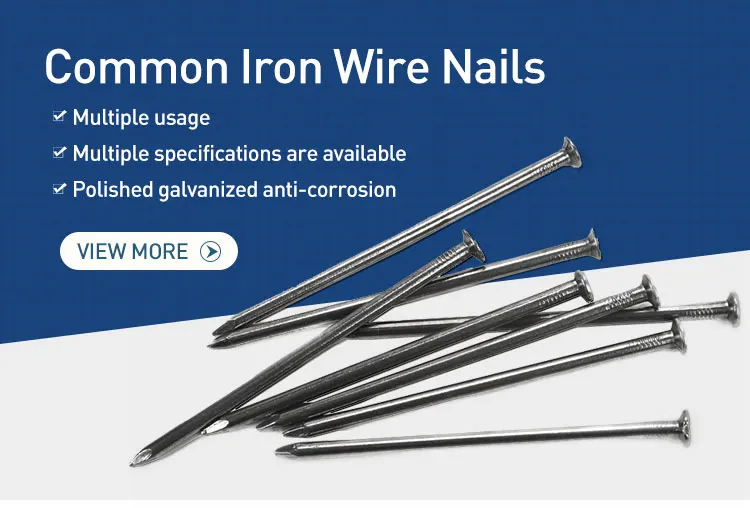 1 Kg per Box 25kgs per Carton Bright Polished Iron Wire Nails