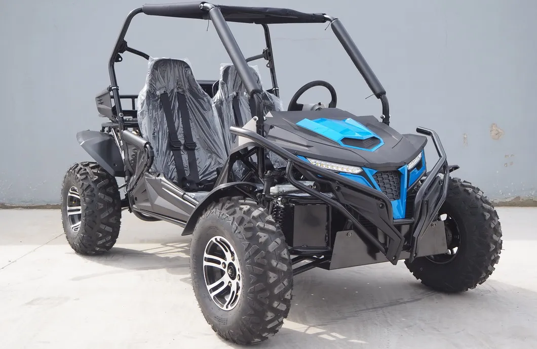 2023 300cc 55km/h Electric Dune Buggy Off Road Car 4x4 Buggy - Buy 250cc Off Road Buggy,Dune ...