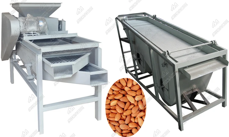 Almond Crushing Machine - Efficient Nut Cracking Solutions