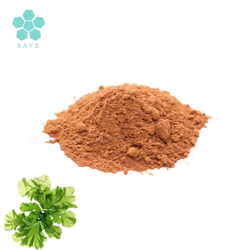 Natural Ulva Lactuca Sea Lettuce Extract Powder| Alibaba\\.com