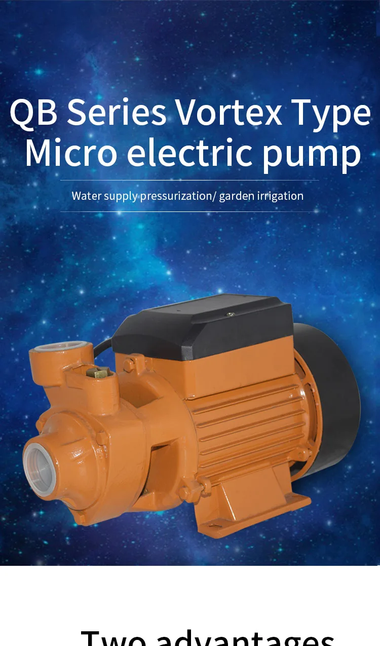 Durable Pedrollo QB60 70 80 Agriculture Electric Water Motor