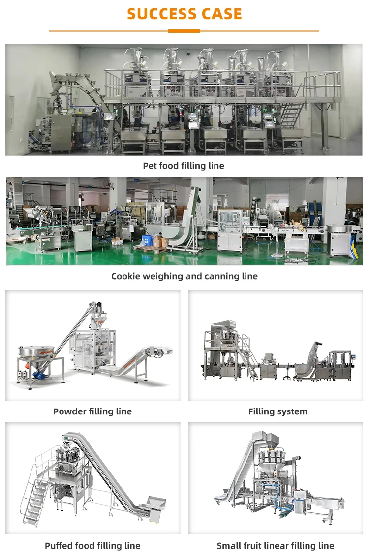 Automatic Puffed Snack Food Packing Machine Crisp Popcorn Packing ...