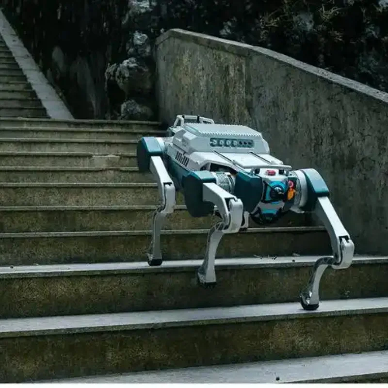Alibaba.com: Ibo Robot Dog for education, security, and rescue tasks ...