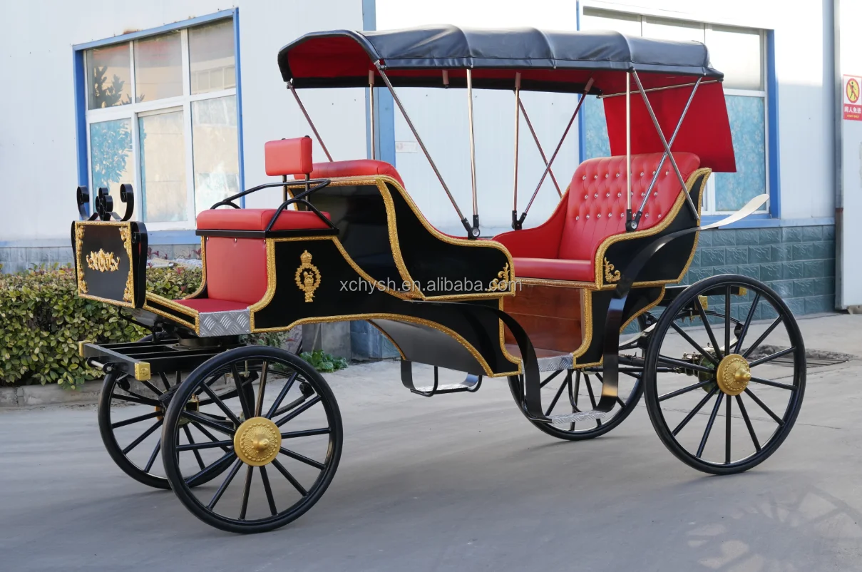 Beautiful Sightseeing Horse Carriage for Passenger/electric Horseless ...