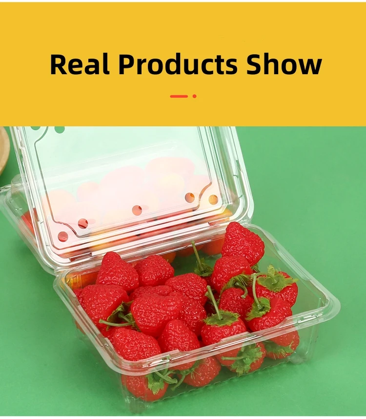 Plastic Disposable Transparent Clamshell Fruit Container - Buy Plastic ...
