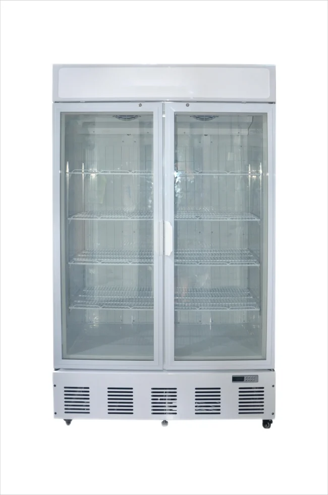Kenkuhl Vertical Freezer Upright Freezer Commercial Glass Door Display ...