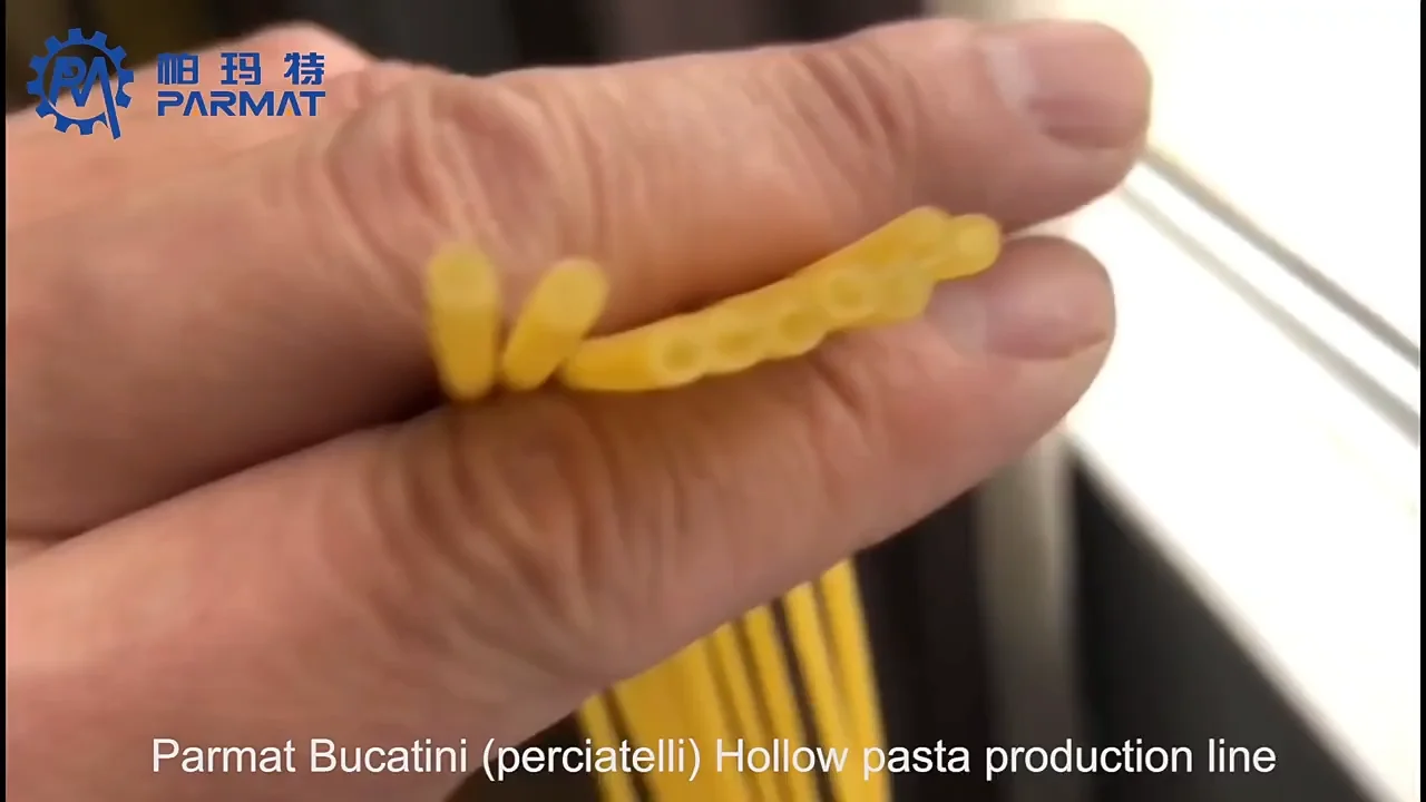 Professional 400kg/h Bucatini Perciatelli Hollow Pasta Making Machine ...