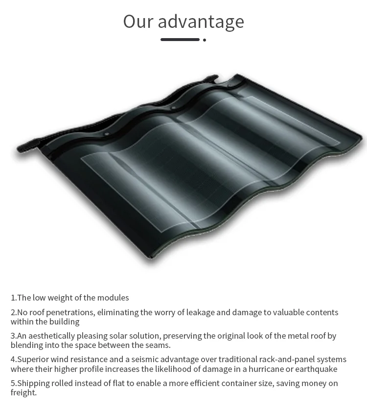 Monocrystalline Solar Panels - Efficient BIPV Solutions