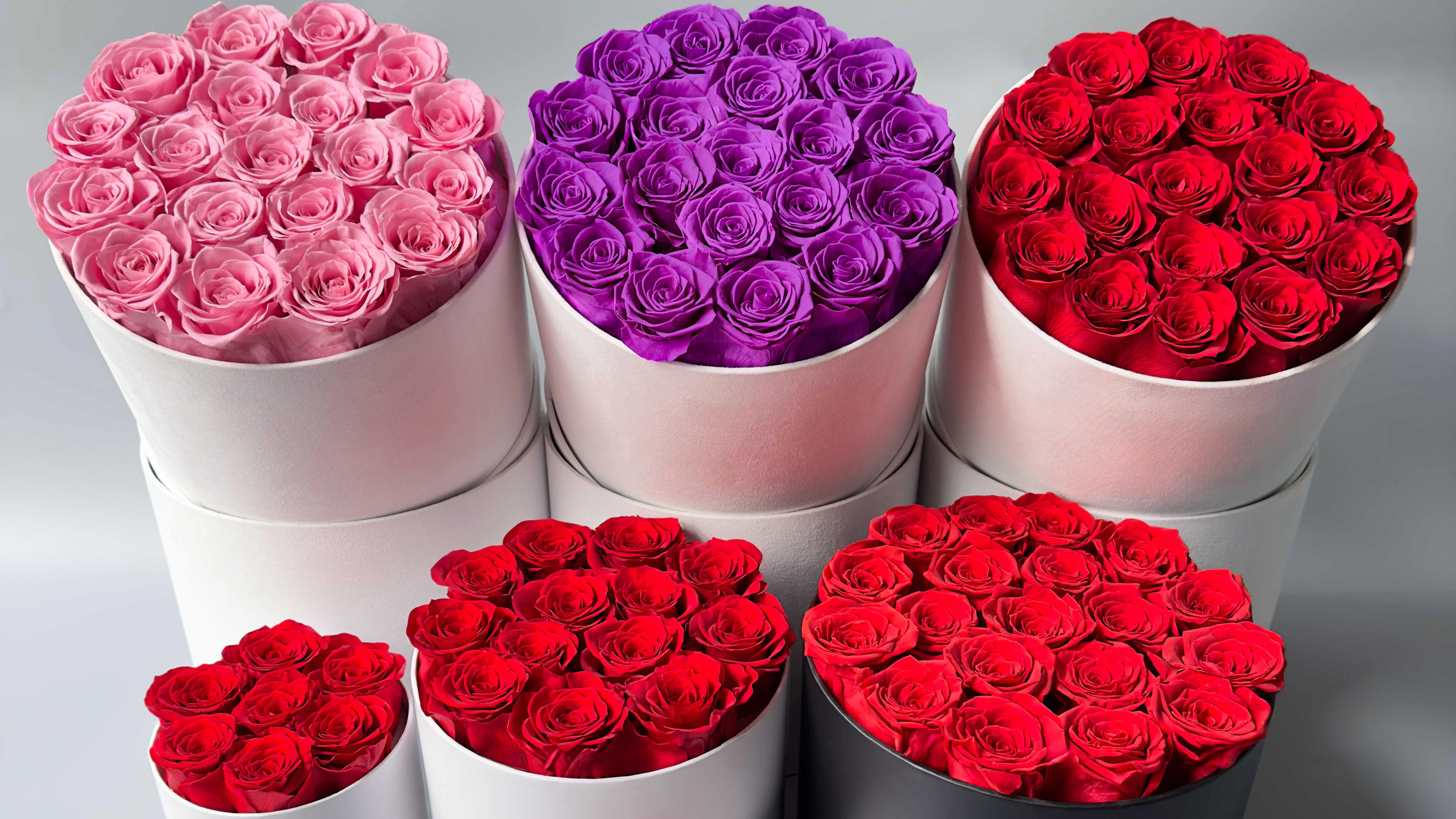 Preserved Flowers Wholesale Stabilized Eternal Roses Eternal Flowers ...
