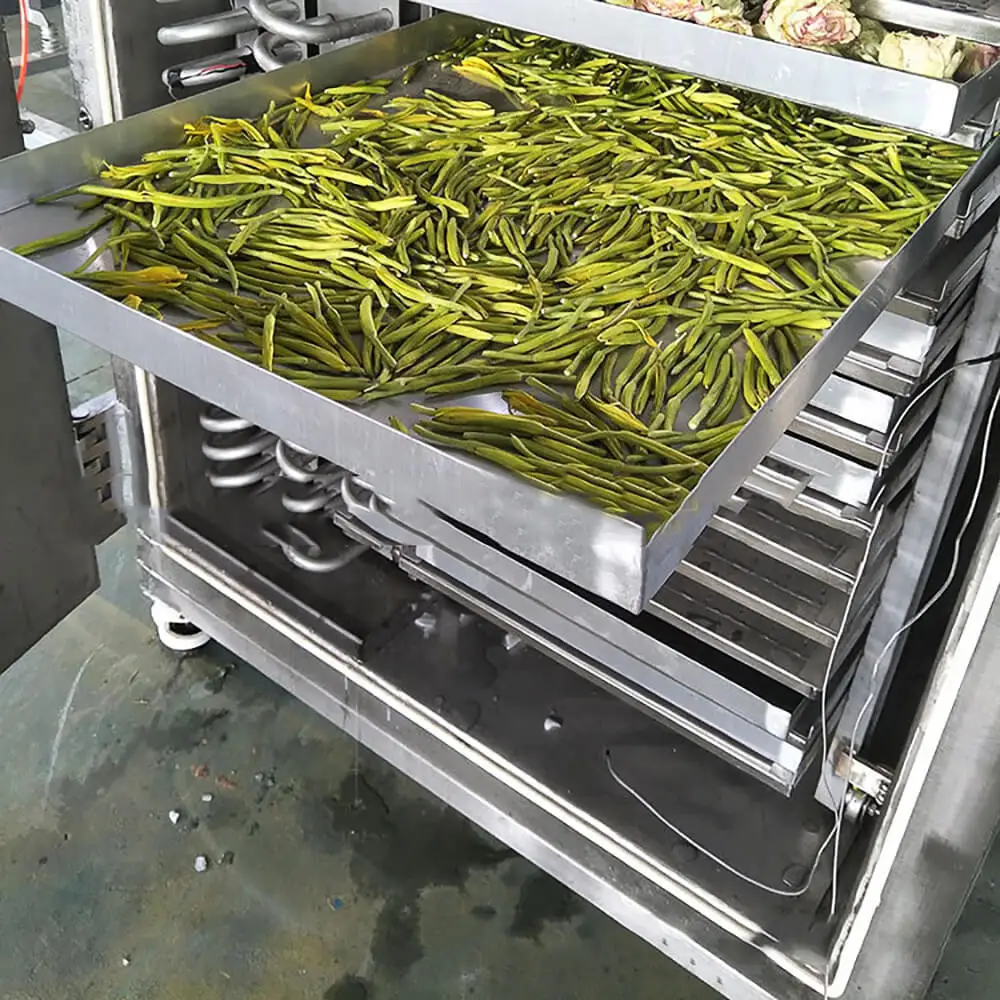 Automatic Dried Fruit & Vegetable Production Line - Dehydrator for ...
