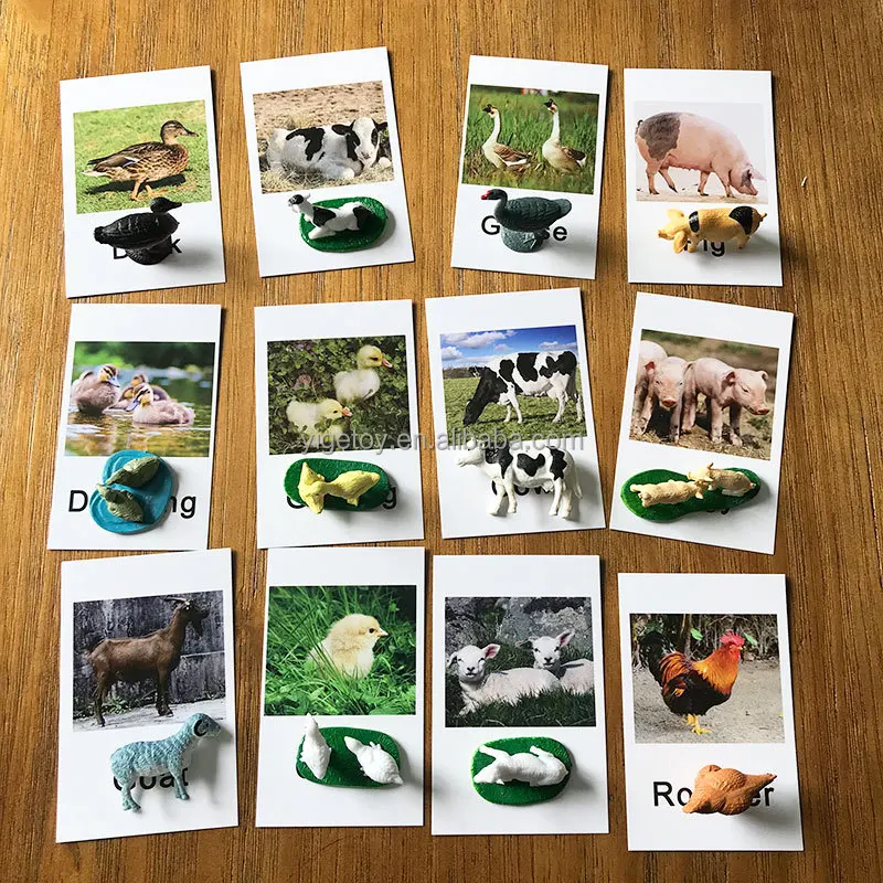 Montessori Animal Match Cards - Miniature Poultry Animals With Matching ...