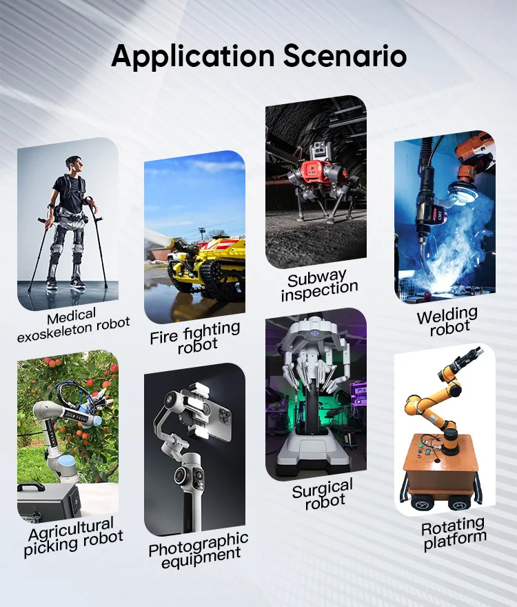 Efficient Humanoid Service Robot Module Joint Motor Servo