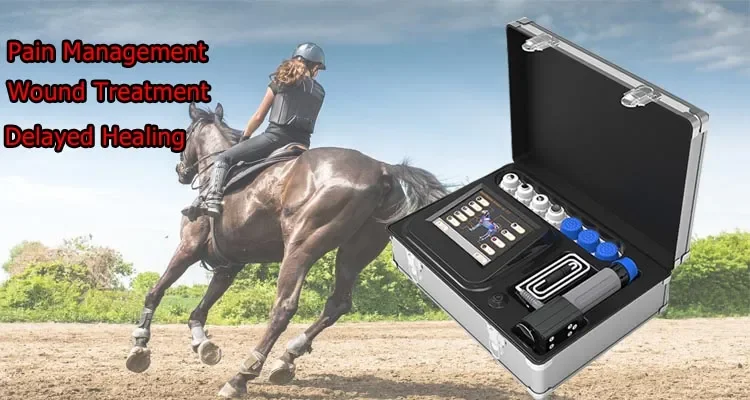 Vet Eswt Equipment Electromagnetic Medical Physiotherapy Shockwave Therapy Machine For Pain ...