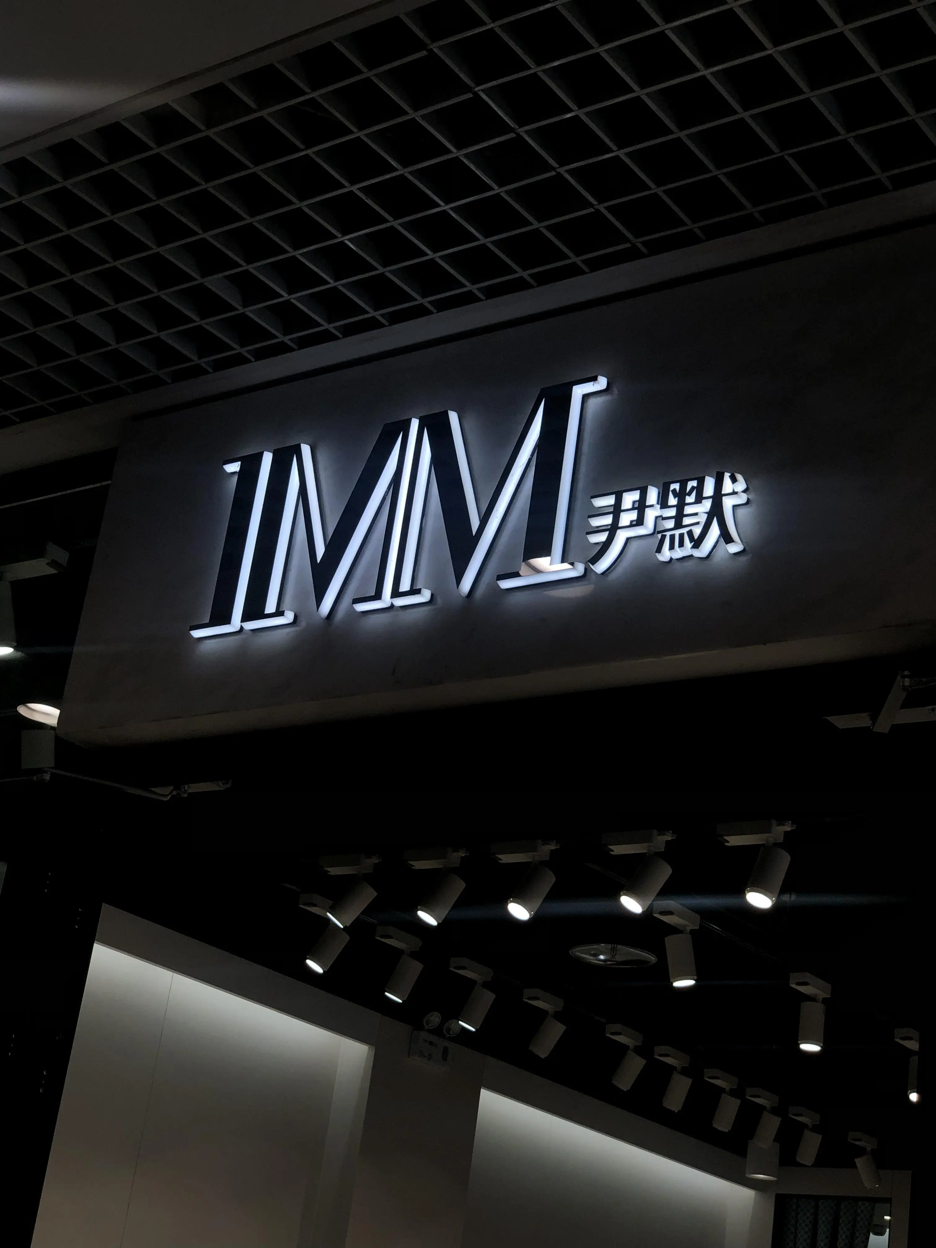 High Brightness 3D Metal Signs - Custom LED Luminous Characters