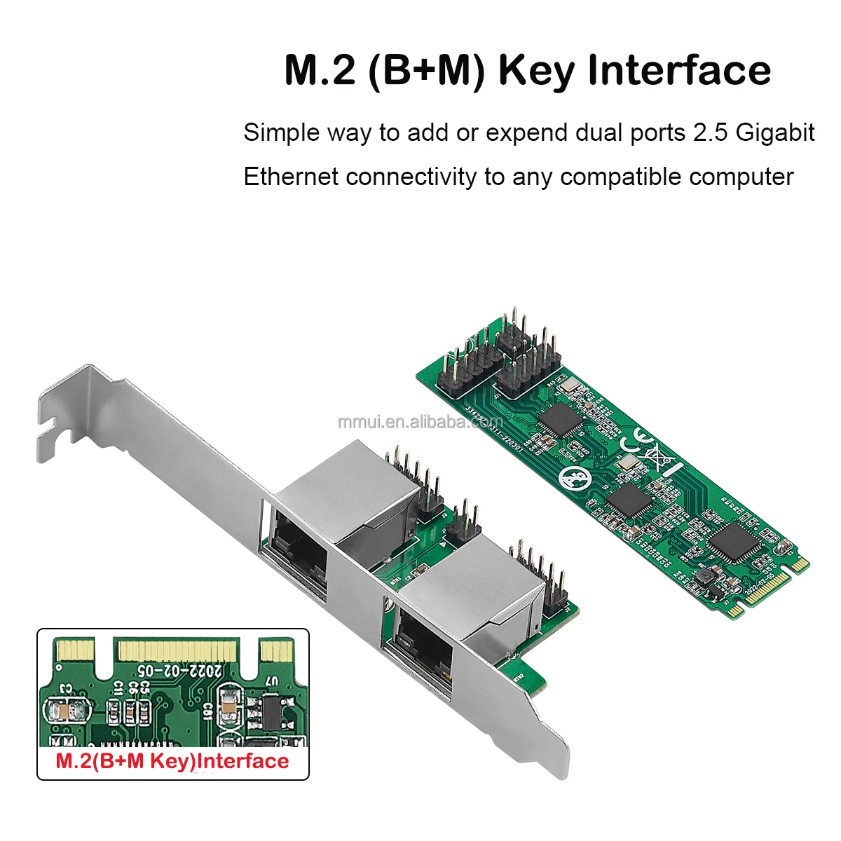 M.2 Dual Port LAN Card - 2.5 Gigabit Ethernet for Desktop