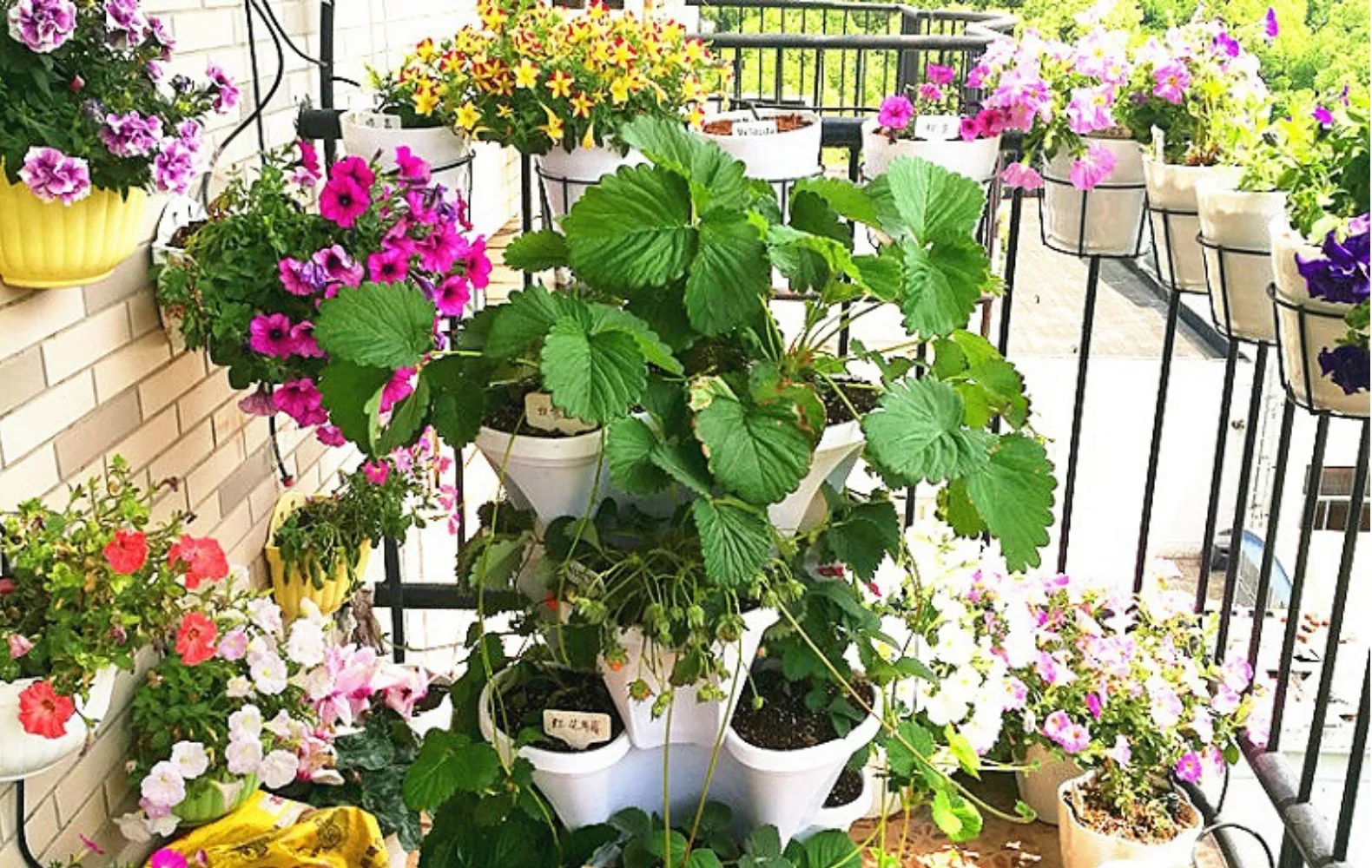 5 Tier Stackable Planter With Movable Casters And Bottom Saucer ...