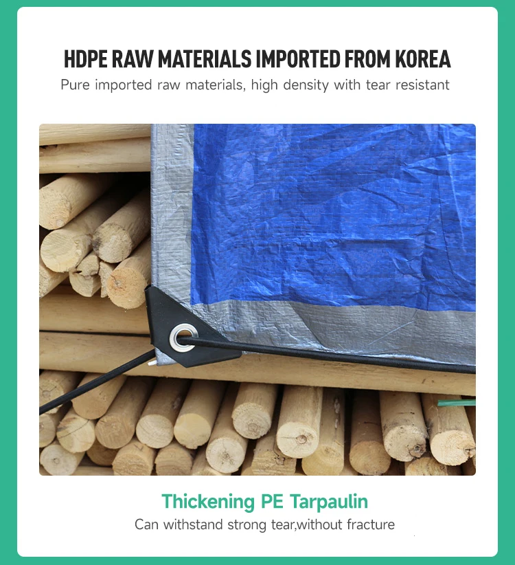 Sliver Giant Backyard PE Tarpaulin Sheet - HDPE Coating