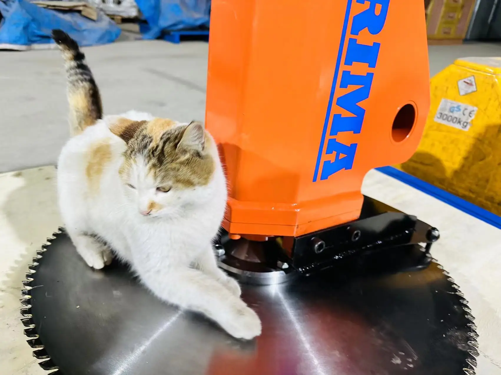 Excavator Cutting down Trees with a Circular Saw - RIMA SH600