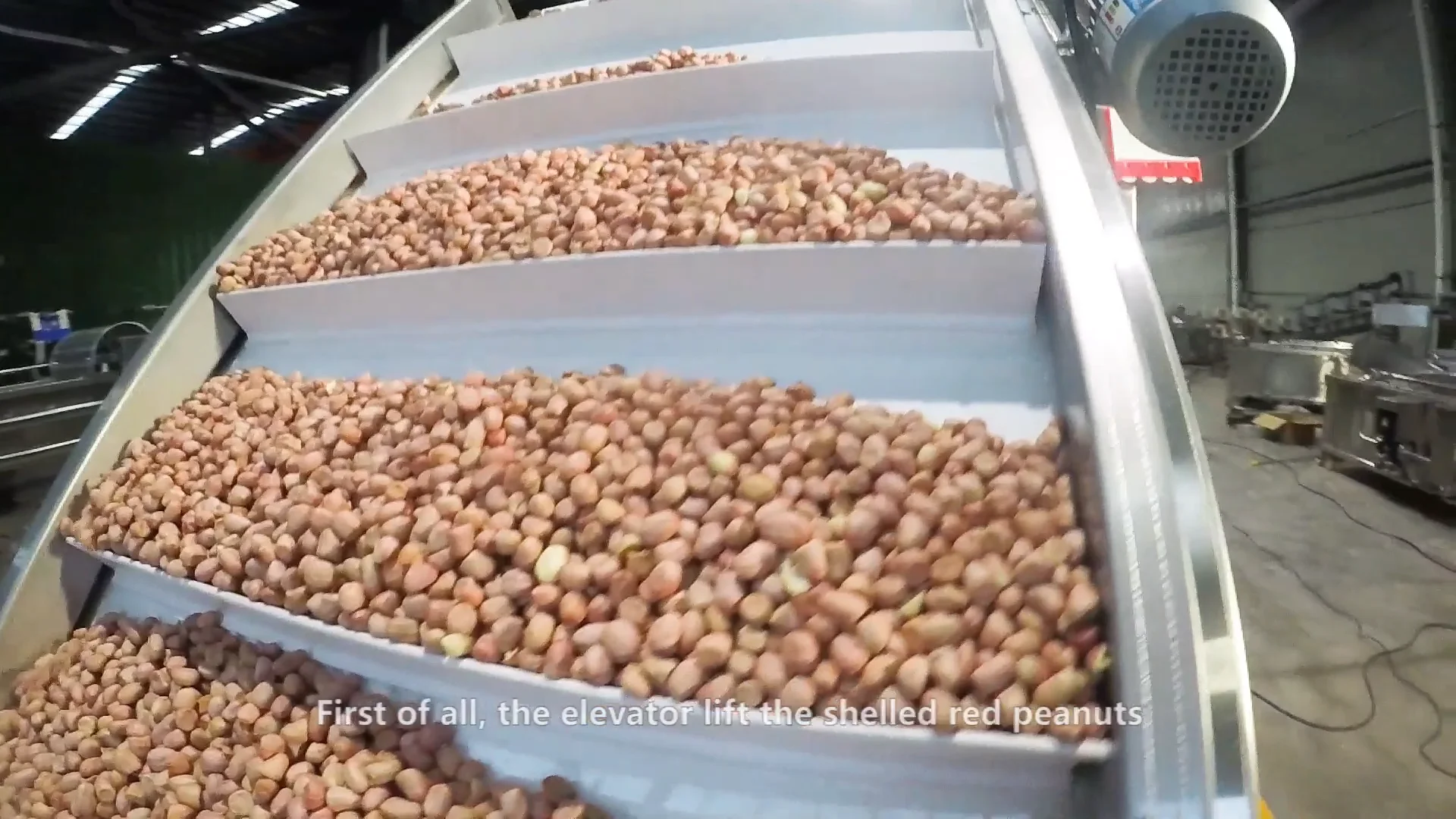 250kg Full Automatic Shea Nut Belt Drying Roasting Line Sesame Barley ...