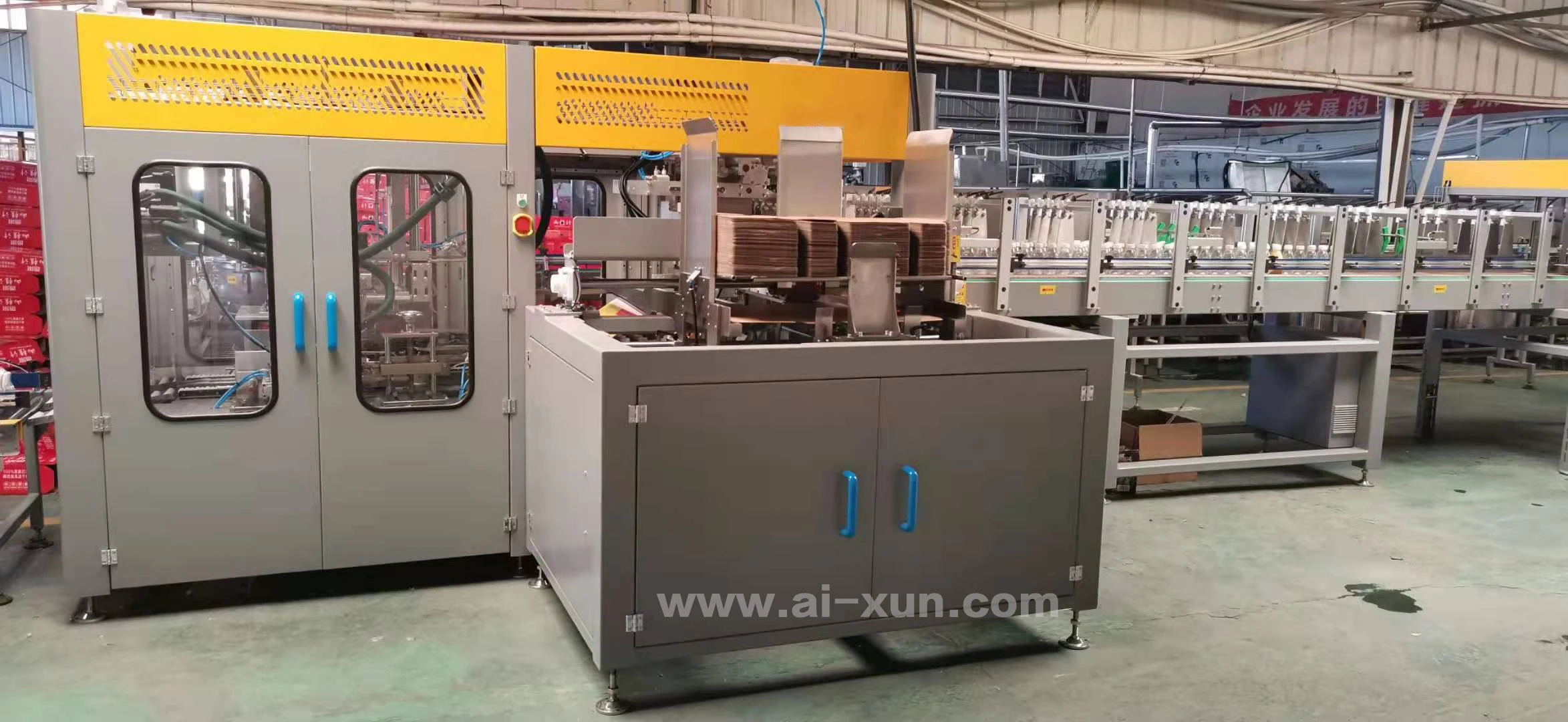 Automatic Wrap around Cartoning Machine for Box/case