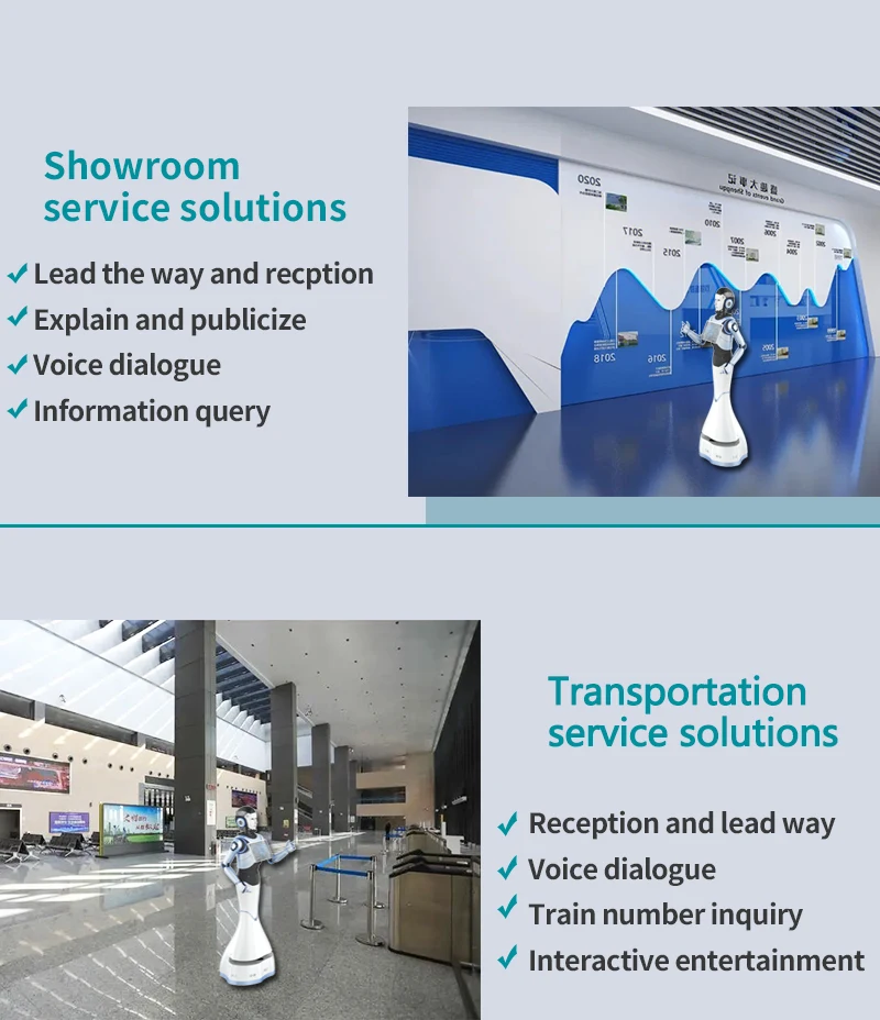 Dreambot - Humanoid Service Robot for Commercial Use