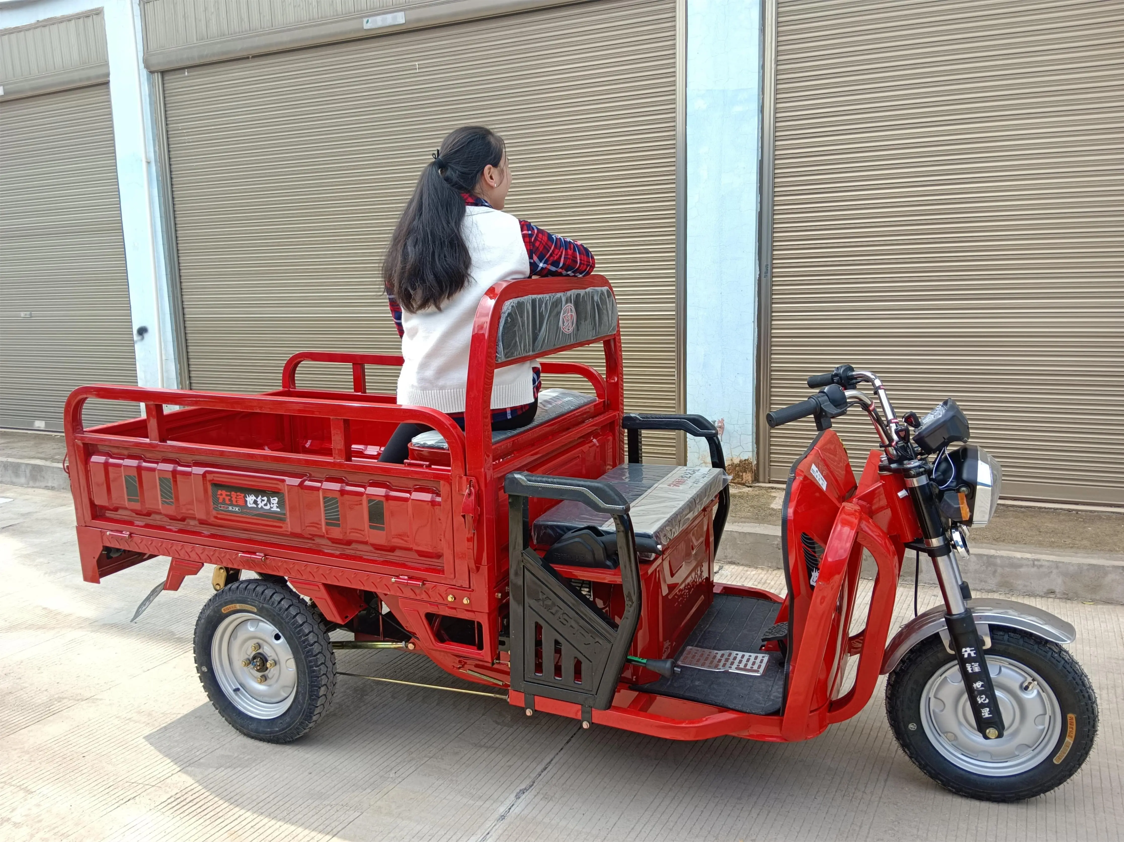 Electric Rickshaw Factory Customization with Big Power and Max Loading ...