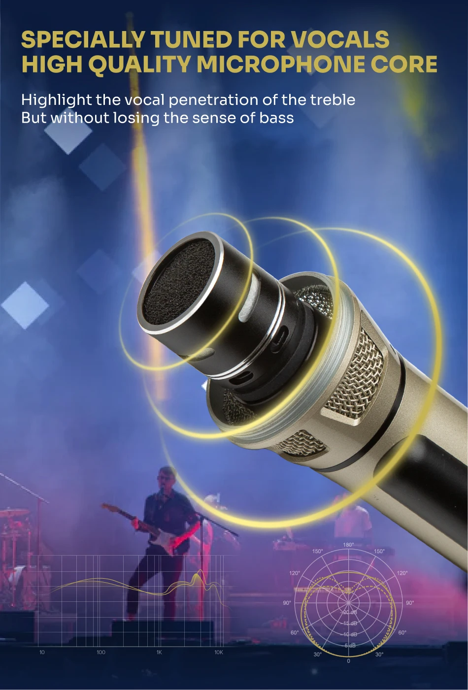 ST-9320 True Diversity Wireless Microphone for Outdoor Singing