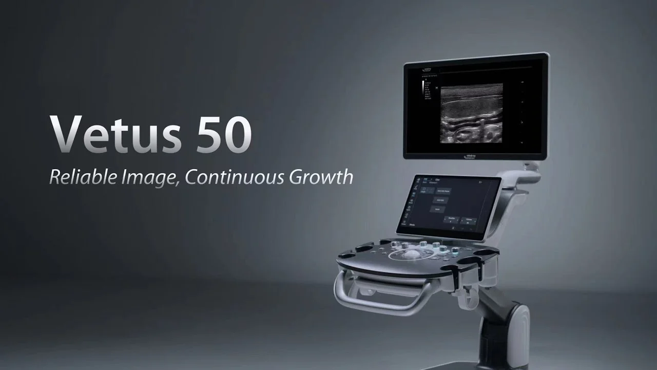 Mindray Vetus 50 Veterinary Ultrasound - High Resolution