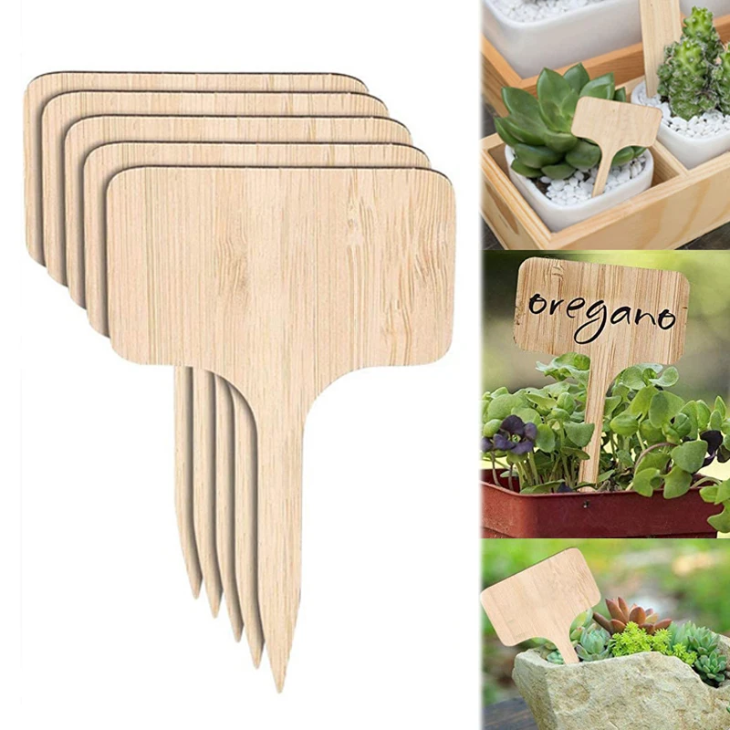 Alibaba.com: Bamboo Plant Labels, Eco-Friendly Garden Markers for ...