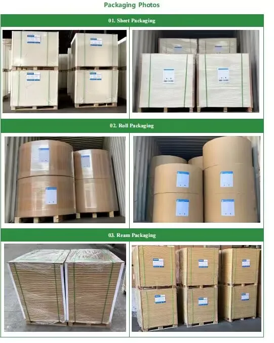 80gsm Printable Glossy Self Adhesive Coated Art Paper For Labels In ...