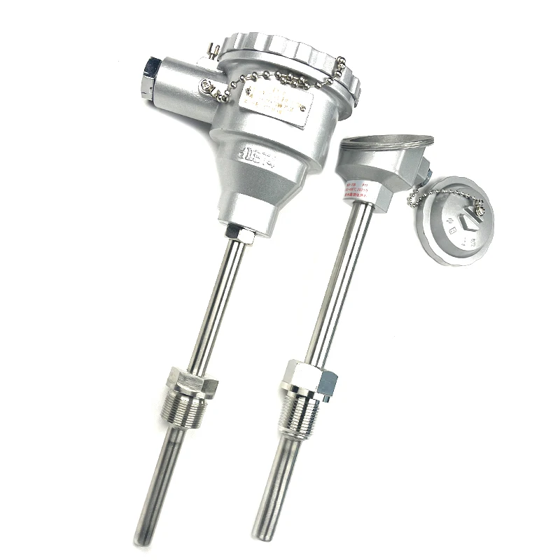 Customizable ATEX Certified RTD PT100 Temperature Sensor