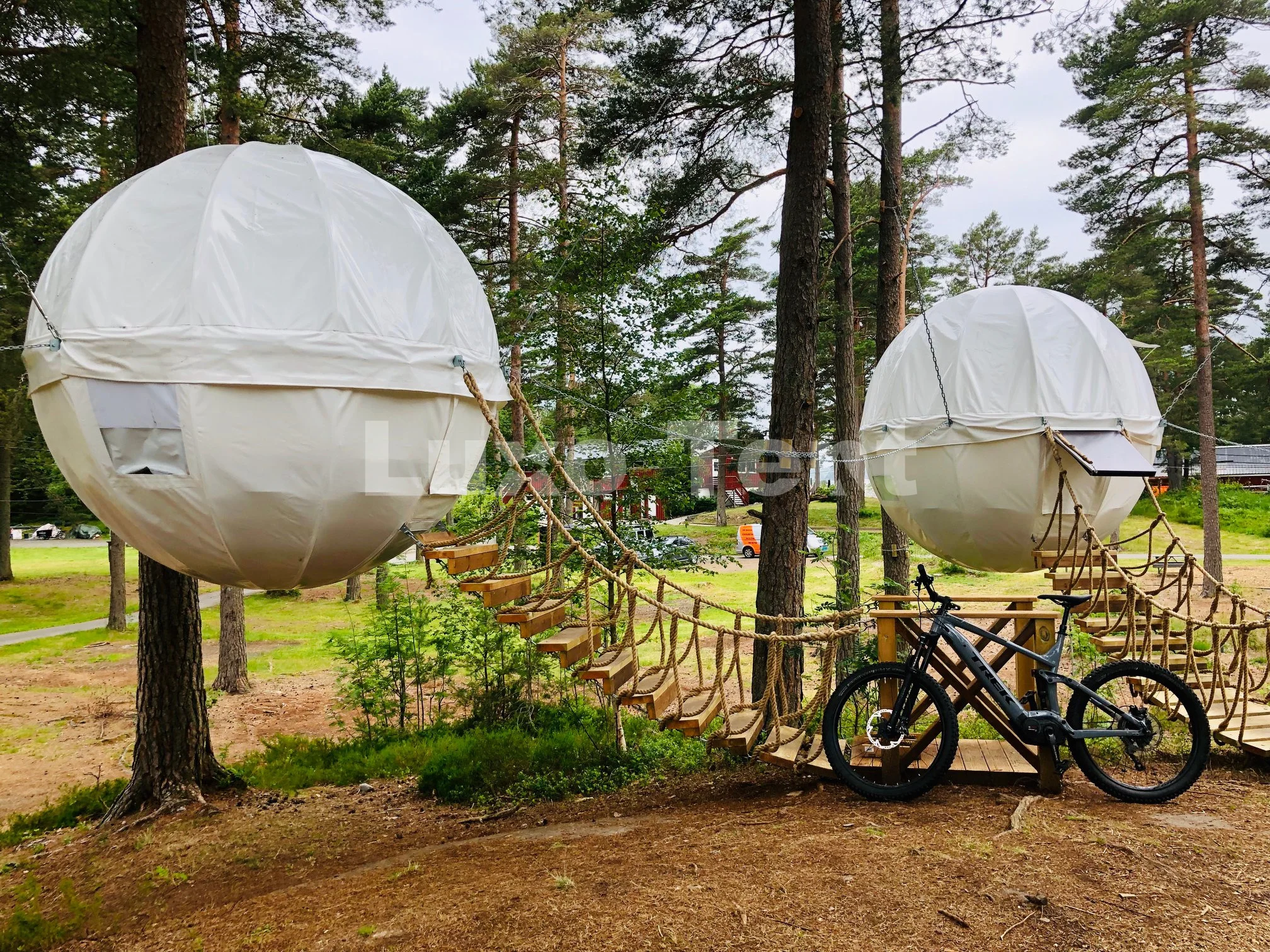 Luxury PVC Tree Geodesic Dome Tent - Four-Season Shelter