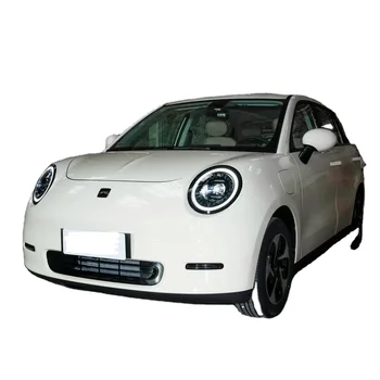 Jac Electric Cars Ev3 2023 505km Championship Edition Hatchback Car ...