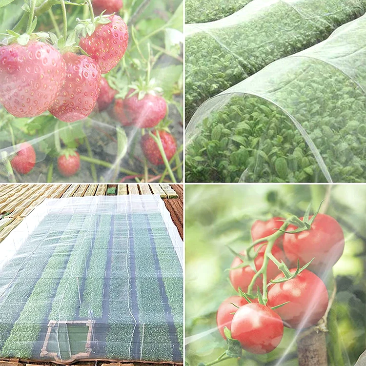 Large Garden Netting High Density Insect Net ,Agriculture Vegetable 40 ...