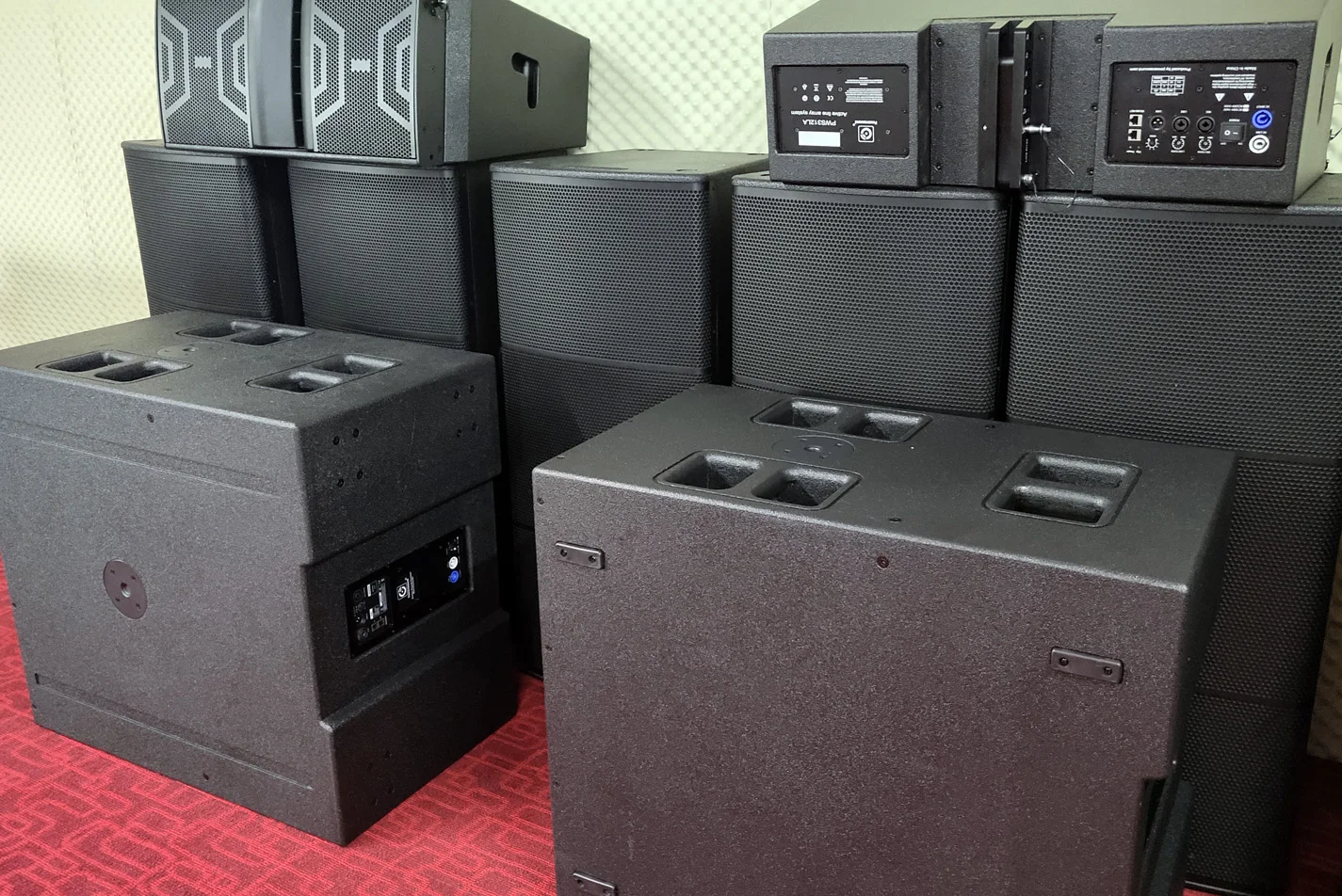 DSP Class D Power Amplifier Module for Powered PA Subwoofer OEM