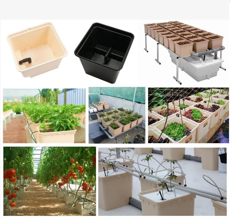 Hydroponic Dutch Bato Bucket System With Lids - Buy Dutch Bato Bucket ...