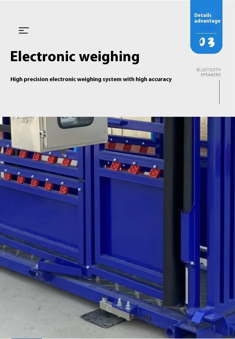 Heavy-duty Automatic Manual Cattle Squeeze Chute with Scales