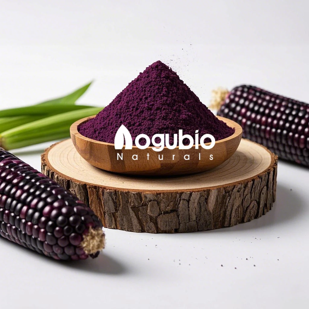 Aogubio Purple Corn Extract Anthocyanidins 3% Best Price Purple Corn ...