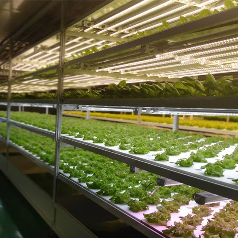 Customization Agriculture Hydroponic Grow Rack Vertical Indoor Farming ...