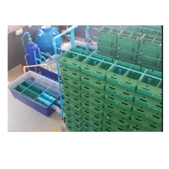 Modern Mud Crab Vertical Farming Plastic Box New Design Indoor Ras ...