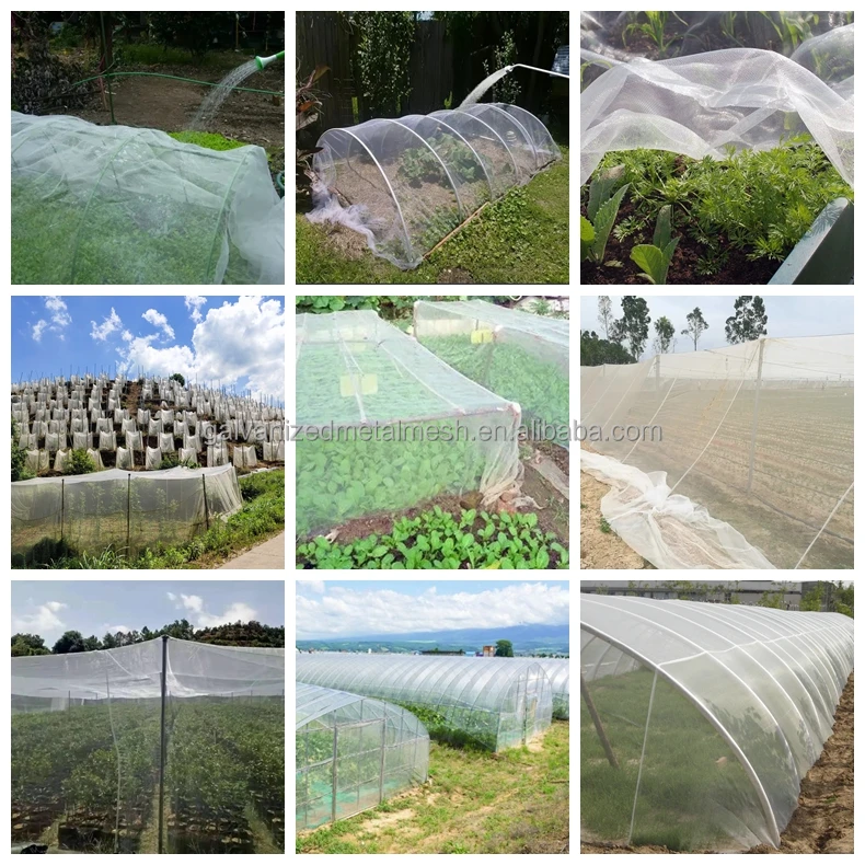 Garden Butterfly Vegetable Mosquito Pest Control Insect Screen Net Mesh ...