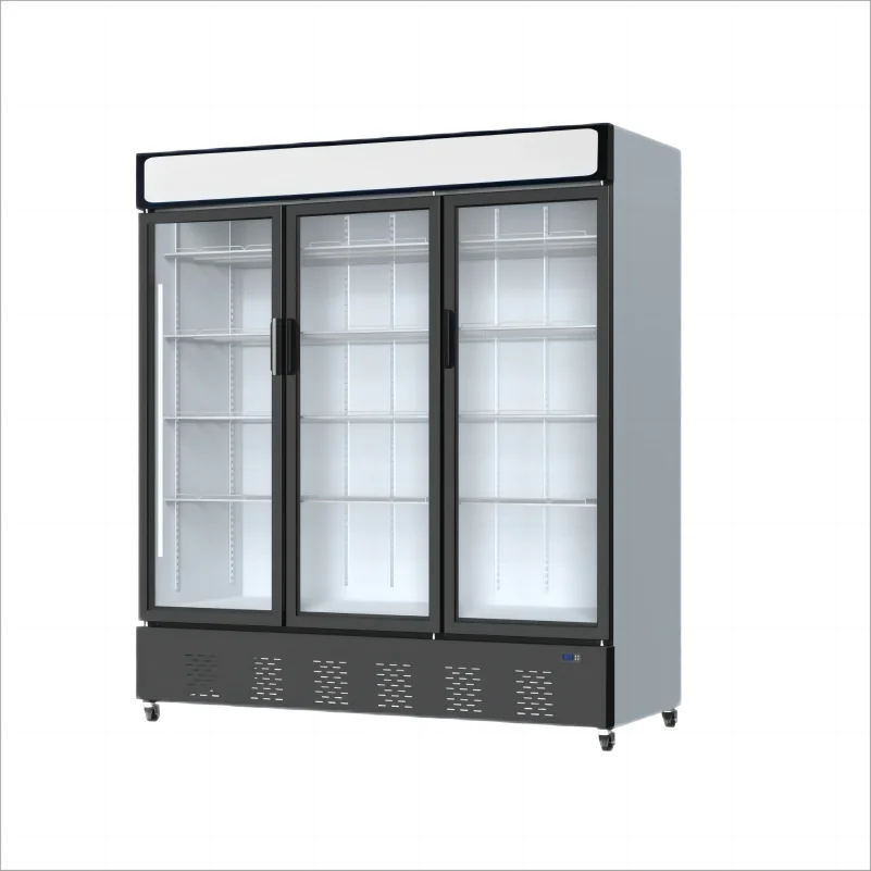 Kenkuhl Visi Cooler Refrigerator Glass Door Upright Beverage Cooler ...